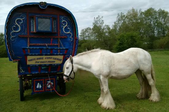 White Horse Gypsy Caravans - Visit Pewsey Vale