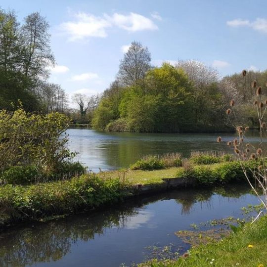 Home - Visit Pewsey Vale