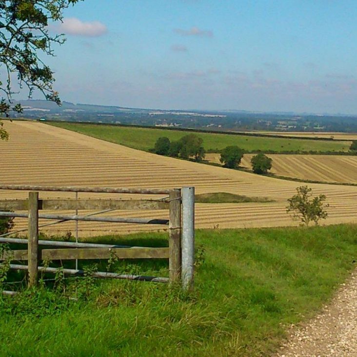 Home - Visit Pewsey Vale