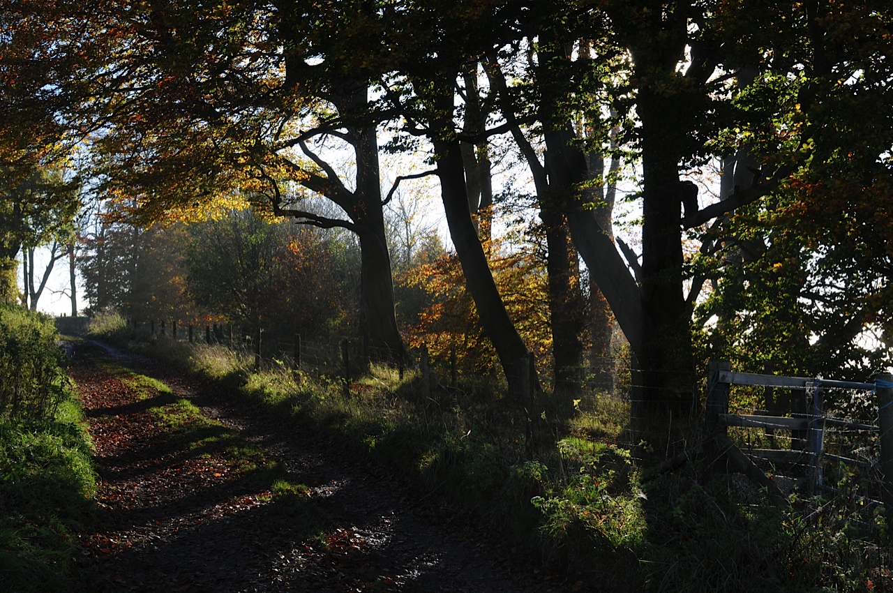 Views of Wiltshire - Visit Pewsey Vale