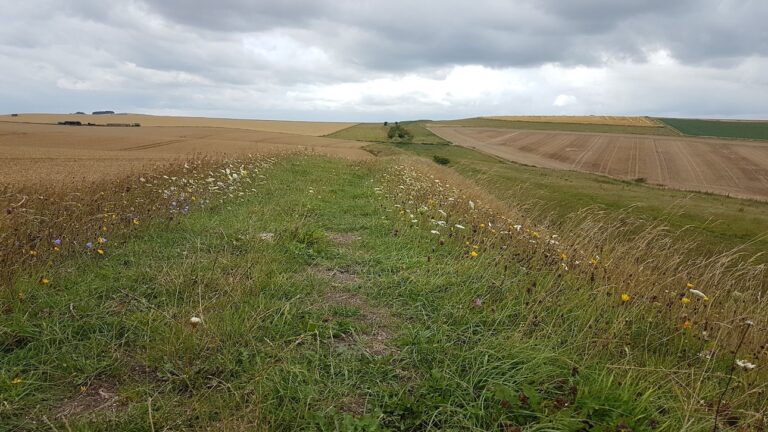 Wansdyke - Visit Pewsey Vale