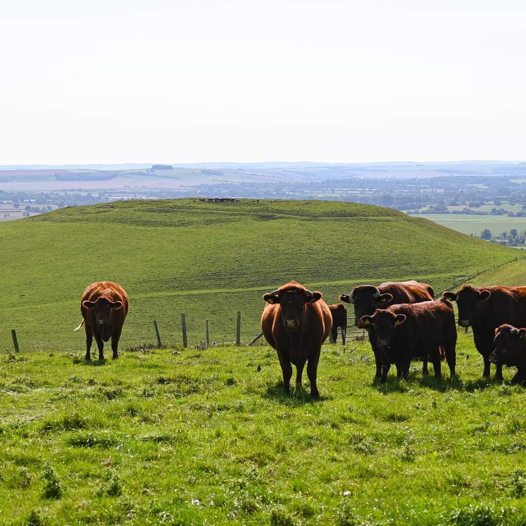 Bridge Farm - Visit Pewsey Vale